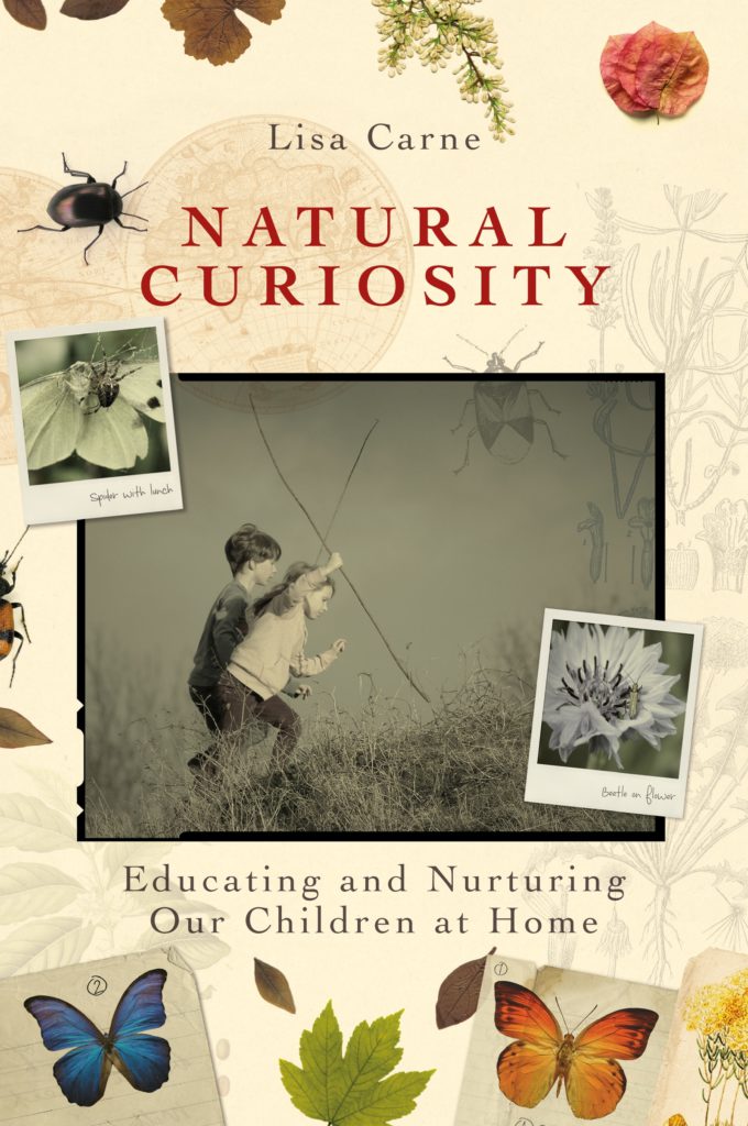 An interview with Lisa Carne about home education and her new book ...